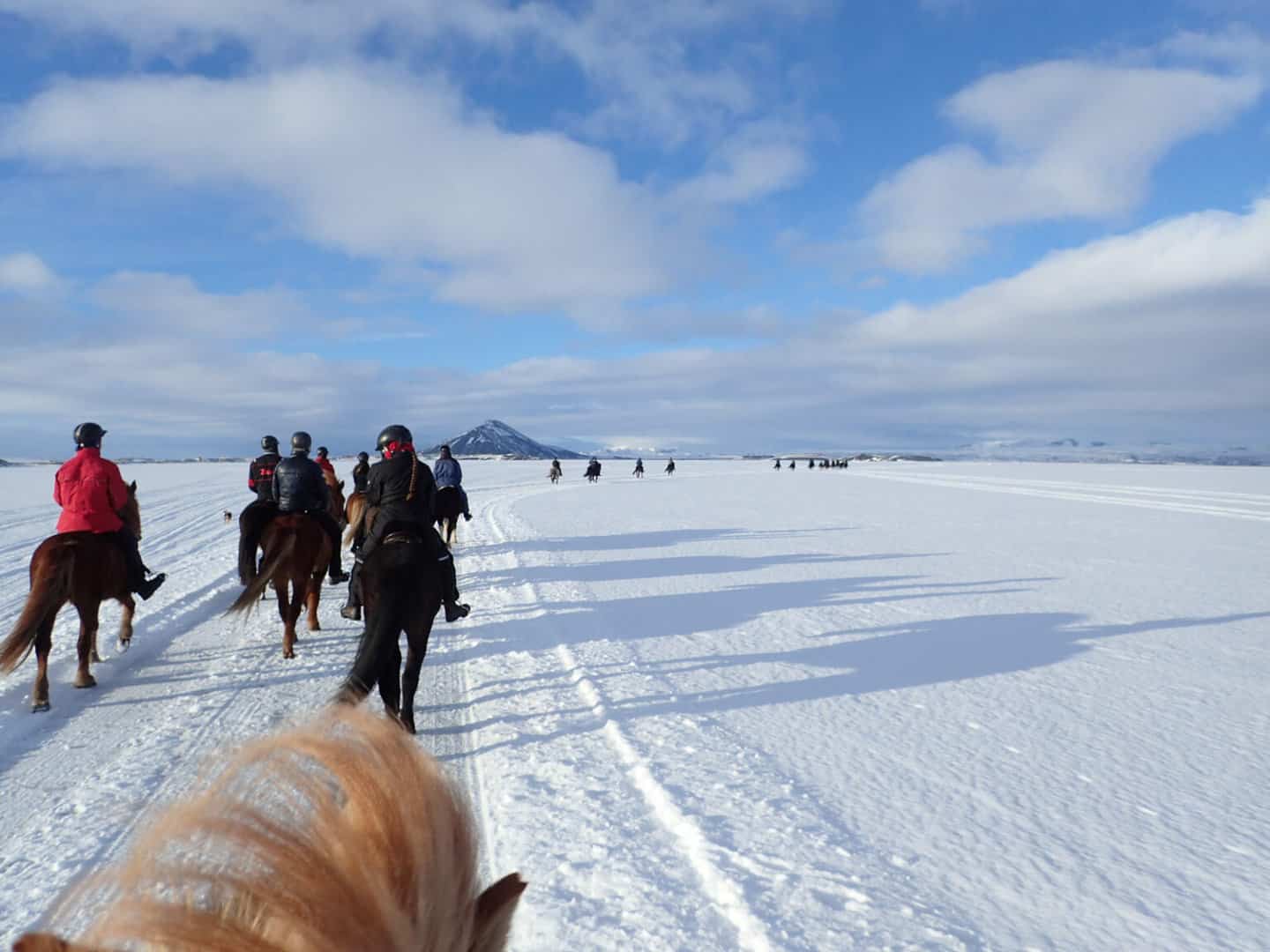 Riding Iceland - Horse riding tours in Húsavík, North Iceland